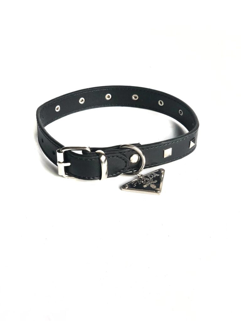 Élégance Canine : Collier Prada Pour Chiens - Dog Love Design