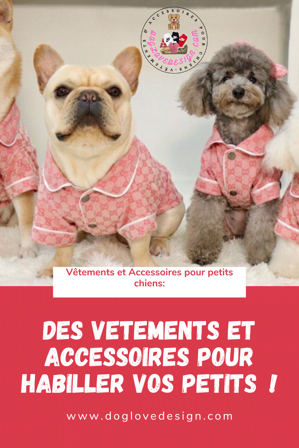 Les Vêtements Pour Chiens : Plus Qu'une Tendance, Un Mode De Vie ...